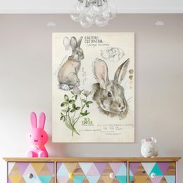 Leinwandbild Tiere Wildnis Journal Kaninchen