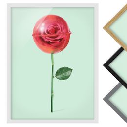 Bild mit Rahmen Rose mit Lollipop