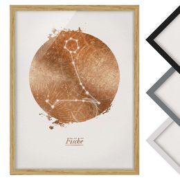 Bild mit Rahmen Sternzeichen Fische Gold