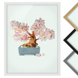 Bild mit Rahmen Bonsai mit Marshmallows