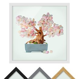 Bild mit Rahmen Bonsai mit Marshmallows