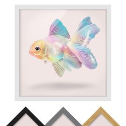 Bild mit Rahmen Fisch in Pastell