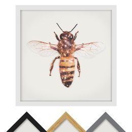 Bild mit Rahmen Biene mit Glitzer