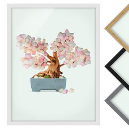 Bild mit Rahmen Bonsai mit Marshmallows