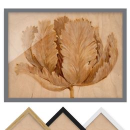 Bild mit Rahmen Sepia Tulpe auf Holz II