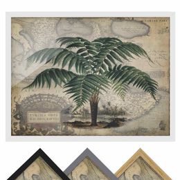 Bild mit Rahmen Vintage Collage - Palme und Weltkarte