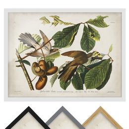 Bild mit Rahmen Vintage Lehrtafel Kuckuck II