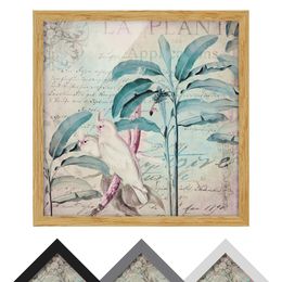 Bild mit Rahmen Colonial Style Collage - Kakadus und Palmen