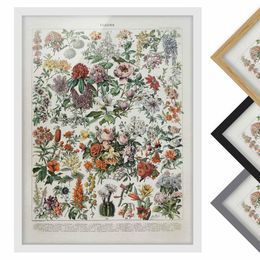 Bild mit Rahmen Vintage Lehrtafel Blumen II