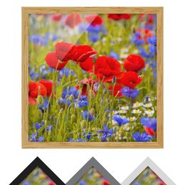 Bild mit Rahmen Sommerwiese mit Mohn und Kornblumen