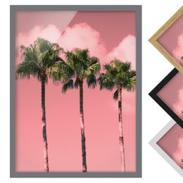 Bild mit Rahmen Palmen vor Himmel Rosa