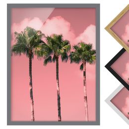 Bild mit Rahmen Palmen vor Himmel Rosa