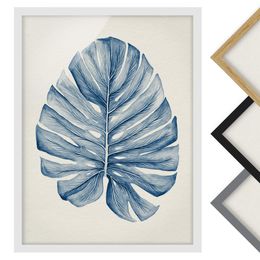 Bild mit Rahmen Zeichnung Tropische Monstera in Indigo