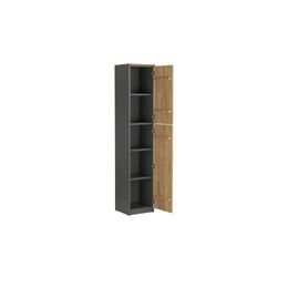H&ouml;ffner Aktenschrank SOLIDLine grau Ma&szlig;e (cm): B: 40 H: 198,2 T: 40.0 &raquo; H&ouml;ffner