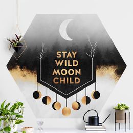 Hexagon Fototapete selbstklebend Stay Wild Moon Child