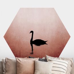 Hexagon Fototapete selbstklebend Schwan im Sonnenuntergang