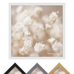 Bild mit Rahmen Bl&uuml;tentr&auml;ume in Creme