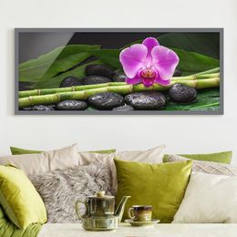 Bild mit Rahmen Gr&uuml;ner Bambus mit Orchideenbl&uuml;te