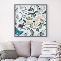 Bild mit Rahmen Vintage Collage - Schmetterlinge und Libellen