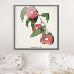 Bild mit Rahmen Vintage Pflanze - Donut