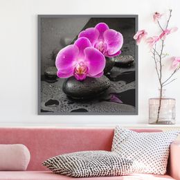 Bild mit Rahmen Pinke Orchideenbl&uuml;ten auf Steinen mit Tropfen