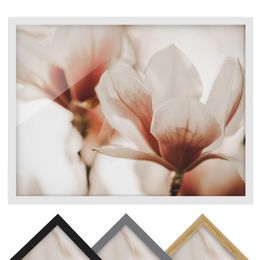 Bild mit Rahmen Zarte Magnolienbl&uuml;ten im Lichtspiel