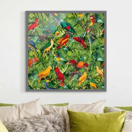 Bild mit Rahmen Bunte Collage - Papageien im Dschungel
