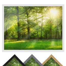 Bild mit Rahmen Spaziergang im Wald