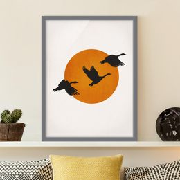 Bild mit Rahmen V&ouml;gel vor gelber Sonne