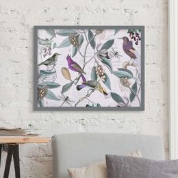 Bild mit Rahmen Vintage Collage - Nostalgische V&ouml;gel