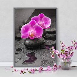 Bild mit Rahmen Pinke Orchideenbl&uuml;ten auf Steinen mit Tropfen