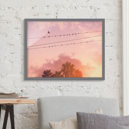 Bild mit Rahmen V&ouml;gel auf der Stromleitung
