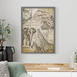 Bild mit Rahmen Vintage Collage - Africa Wildlife