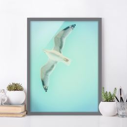 Bild mit Rahmen Blauer Himmel mit M&ouml;we