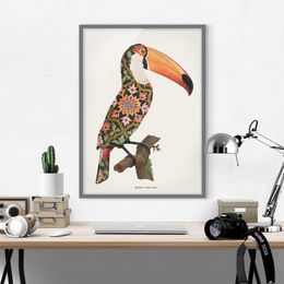 Bild mit Rahmen Boho Vogel - Tukan