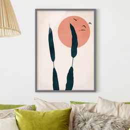 Bild mit Rahmen Schilf vor Rosa Sonne