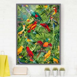 Bild mit Rahmen Bunte Collage - Papageien im Dschungel