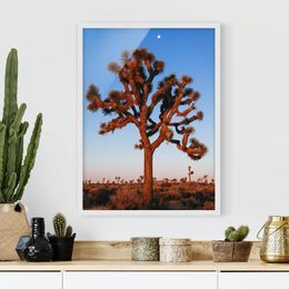 Bild mit Rahmen Baum im Mondschein