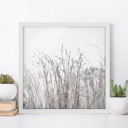 Bild mit Rahmen Winterliche Gr&auml;ser