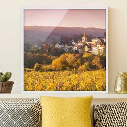 Bild mit Rahmen Weinberge in Frankreich