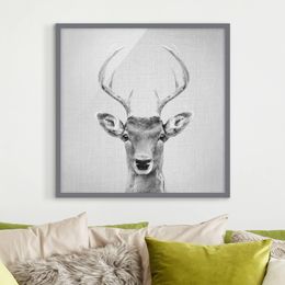 Bild mit Rahmen Hirsch Heinrich Schwarz Wei&szlig;