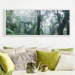 Bild mit Rahmen Monteverde Nebelwald