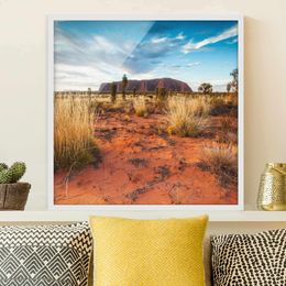 Bild mit Rahmen Steppe