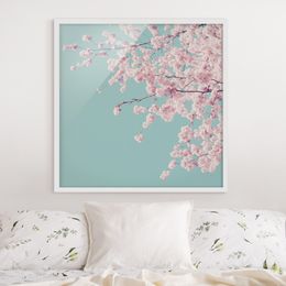 Bild mit Rahmen Japanische Kirschbl&uuml;te