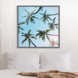 Bild mit Rahmen Palmengiganten im Himmel