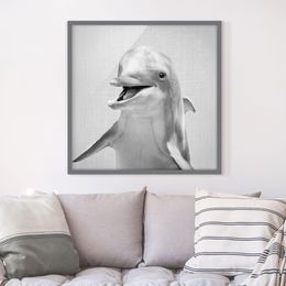 Bild mit Rahmen Delfin Diddi Schwarz Wei&szlig;
