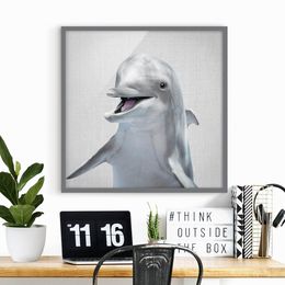 Bild mit Rahmen Delfin Diddi