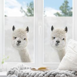 Fensterfolie Alpaka Portrait - Tier Fensterbild Sichtschutzfolie Fensteraufkleber blickdicht Glasfolie K&uuml;che Wohnzimmer Schlafzimmer Kinderzimmer