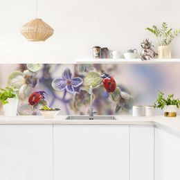 K&uuml;chenr&uuml;ckwand Folie Blumen Marienk&auml;fer im Garten,Spritzschutz K&uuml;che selbstklebend,K&uuml;chen R&uuml;ckwand,nach Ma&szlig;,Nischenr&uuml;ckwand,Wandpaneel,Klebefolie