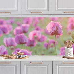 K&uuml;chenr&uuml;ckwand Blumen Violette Schlafmohn Blumenwiese im Fr&uuml;hling